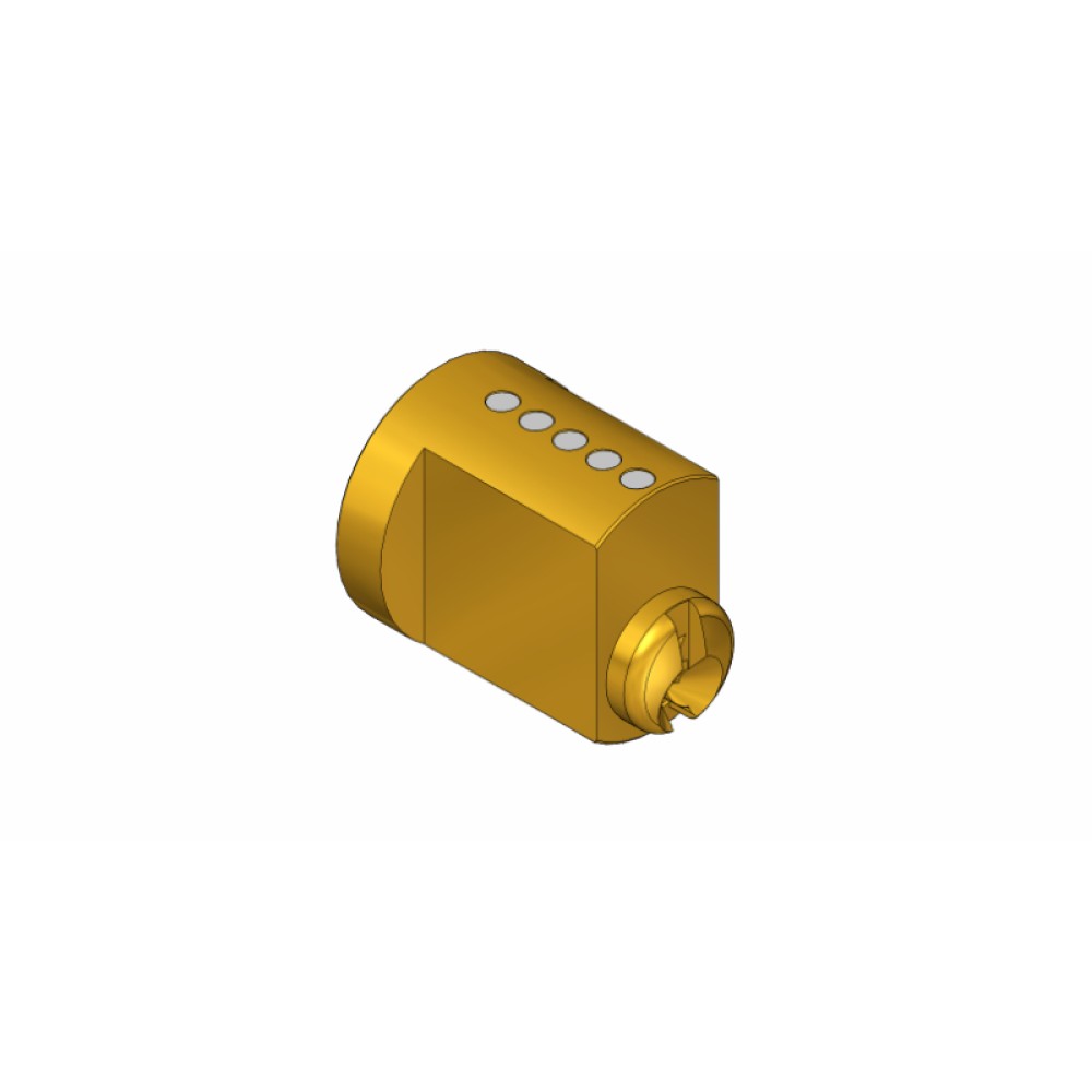 Extendable Gate Lock - Prefer 6601